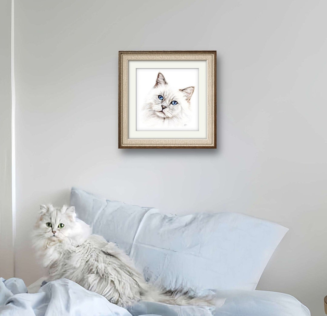 White Cat Square Print / Kitten / Sapphire / Pet / Portrait / Pencil ...