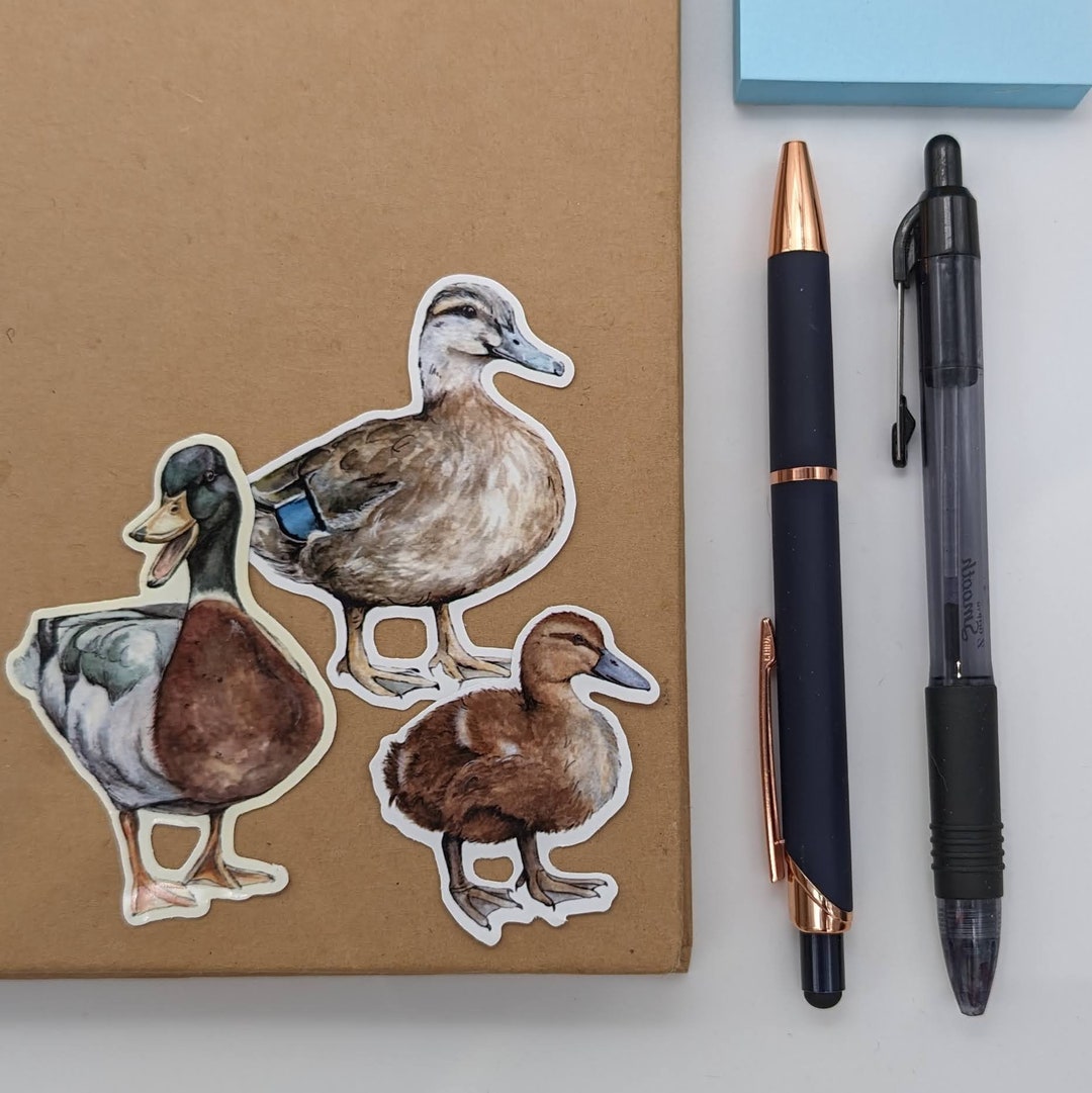 Mallard Duck Family 3 Sticker Set / Female / Male / Duckling / Pond ...