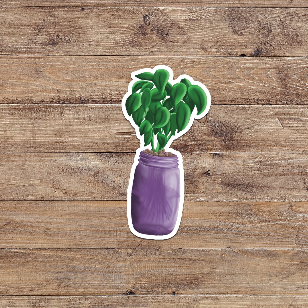 Kratky Hydroponics Mason Jar Sticker, Herb Garden, Plant Mom - Etsy