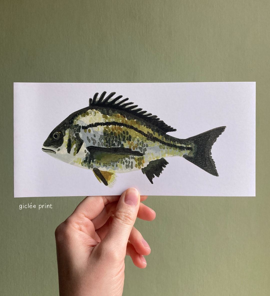 Black Bream Linocut Greetings Card - Etsy
