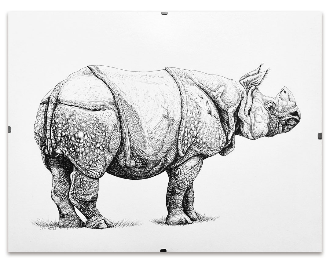 Rhino Pen Ink Drawing, Sketch Art, Decorative Art - Etsy