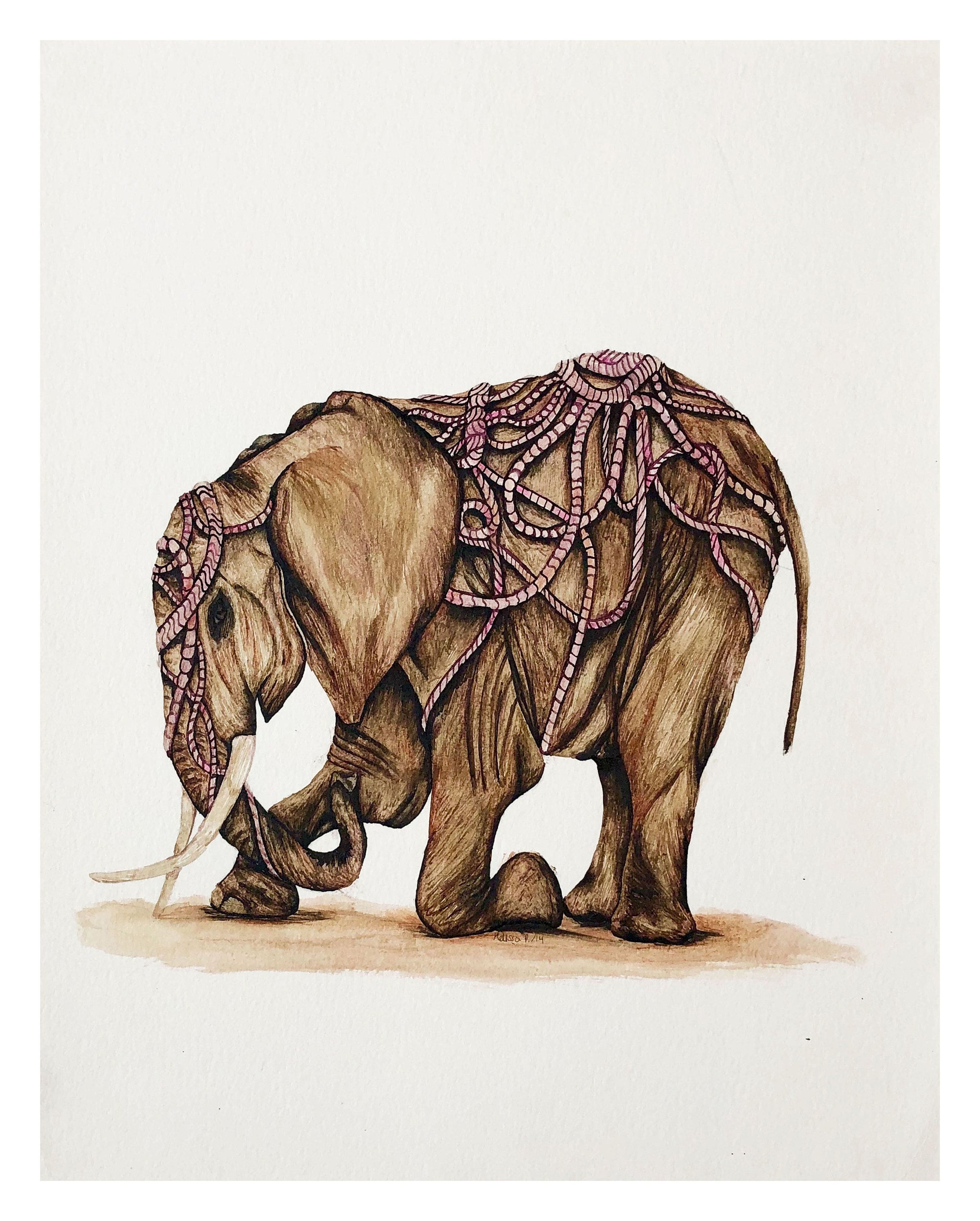 Golden Elephant in Ropes Acrylic Ink Drawing, Animal Drawing, Fine Art ...