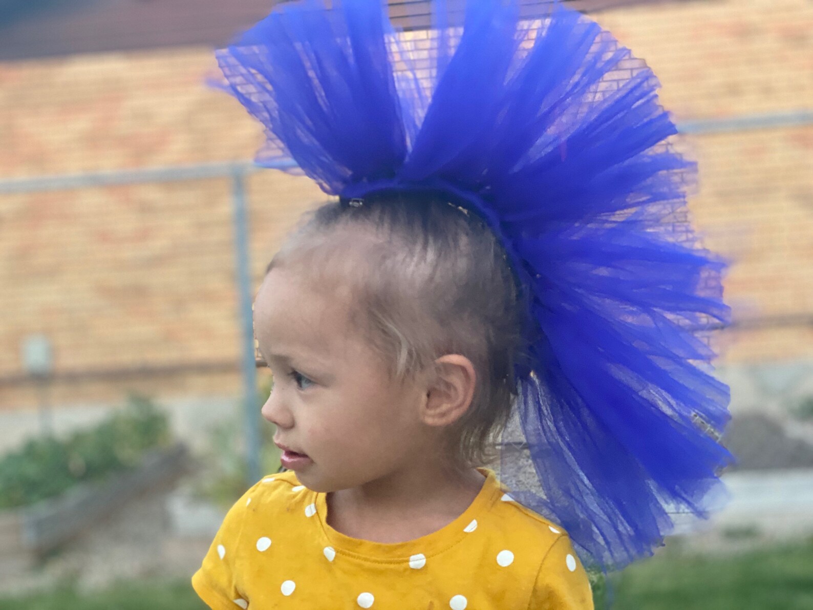Ready to Ship Inspired Blue Boom Sonic Mohawk Princess Rock | Etsy