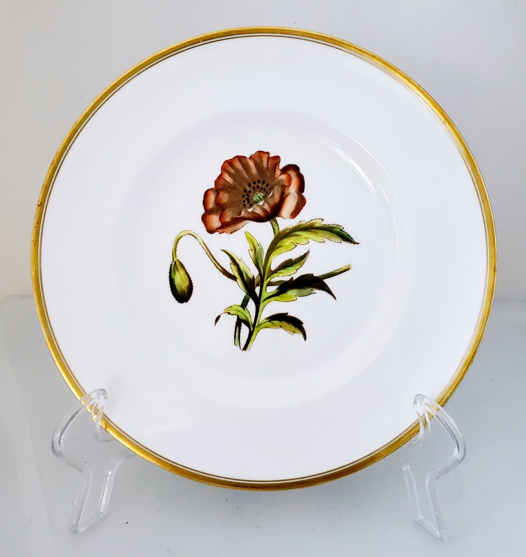 Royal Worcester Poppy Flower Plate Williamson Flower Bone China Hand ...