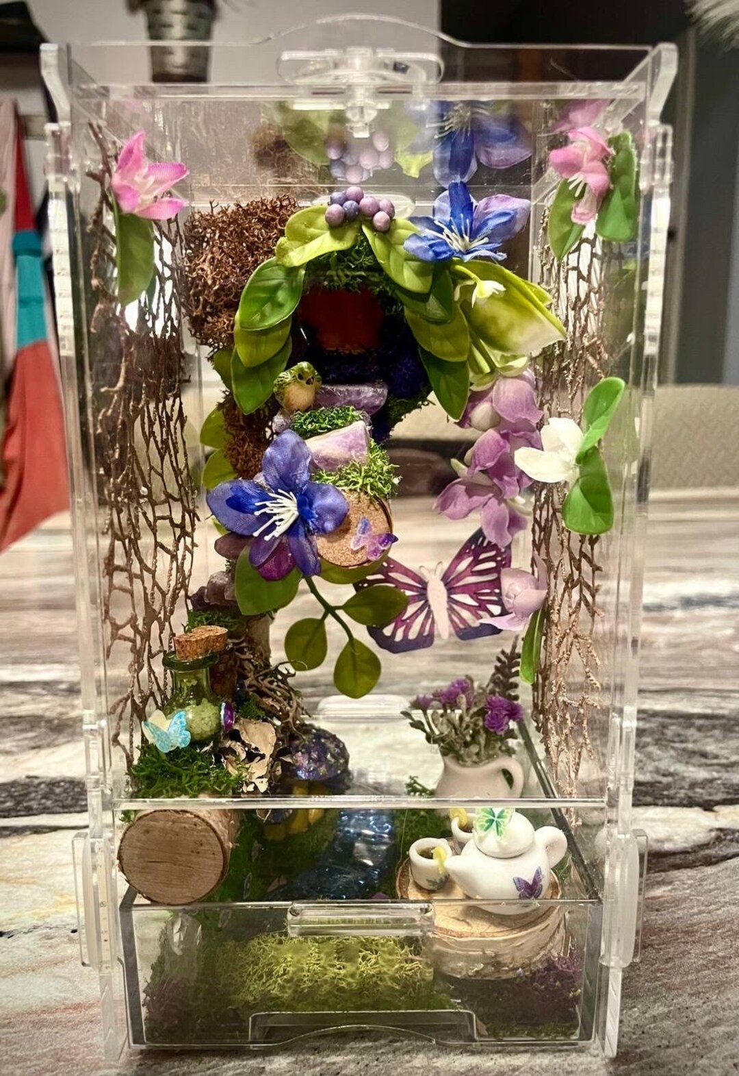 Jumping Spider Enclosure, Jumping Spider Home, Spider Habitat, Purple ...