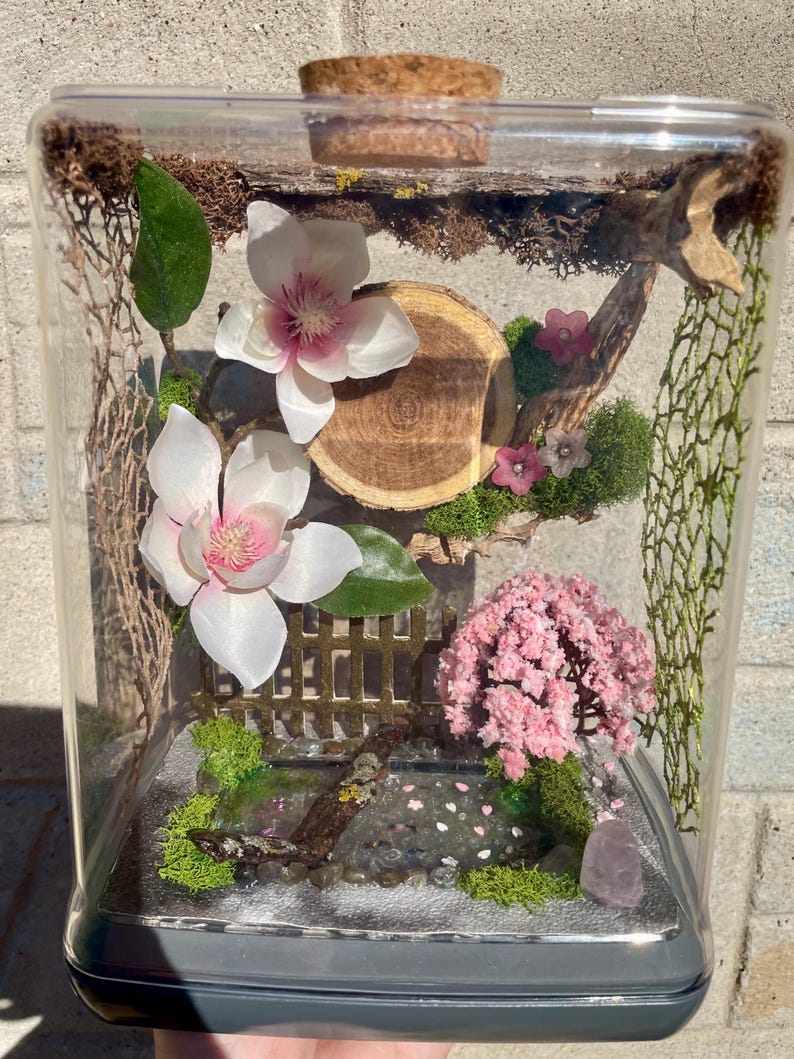 Jumping Spider Enclosure, Jumping Spider Home, Spider Habitat, Sakura ...