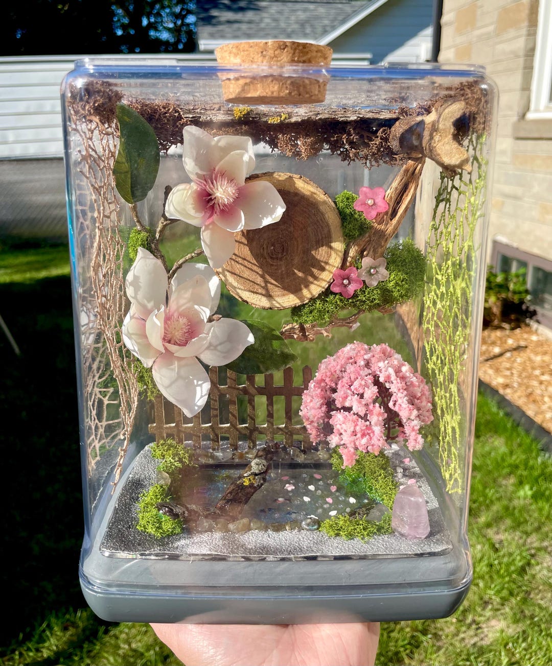 Jumping Spider Enclosure, Jumping Spider Home, Spider Habitat, Sakura ...