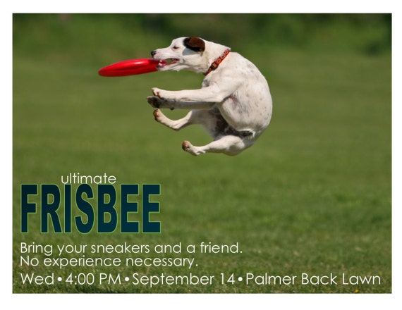 Ultimate Frisbee Program Advertisement Text Fully Editable | Etsy