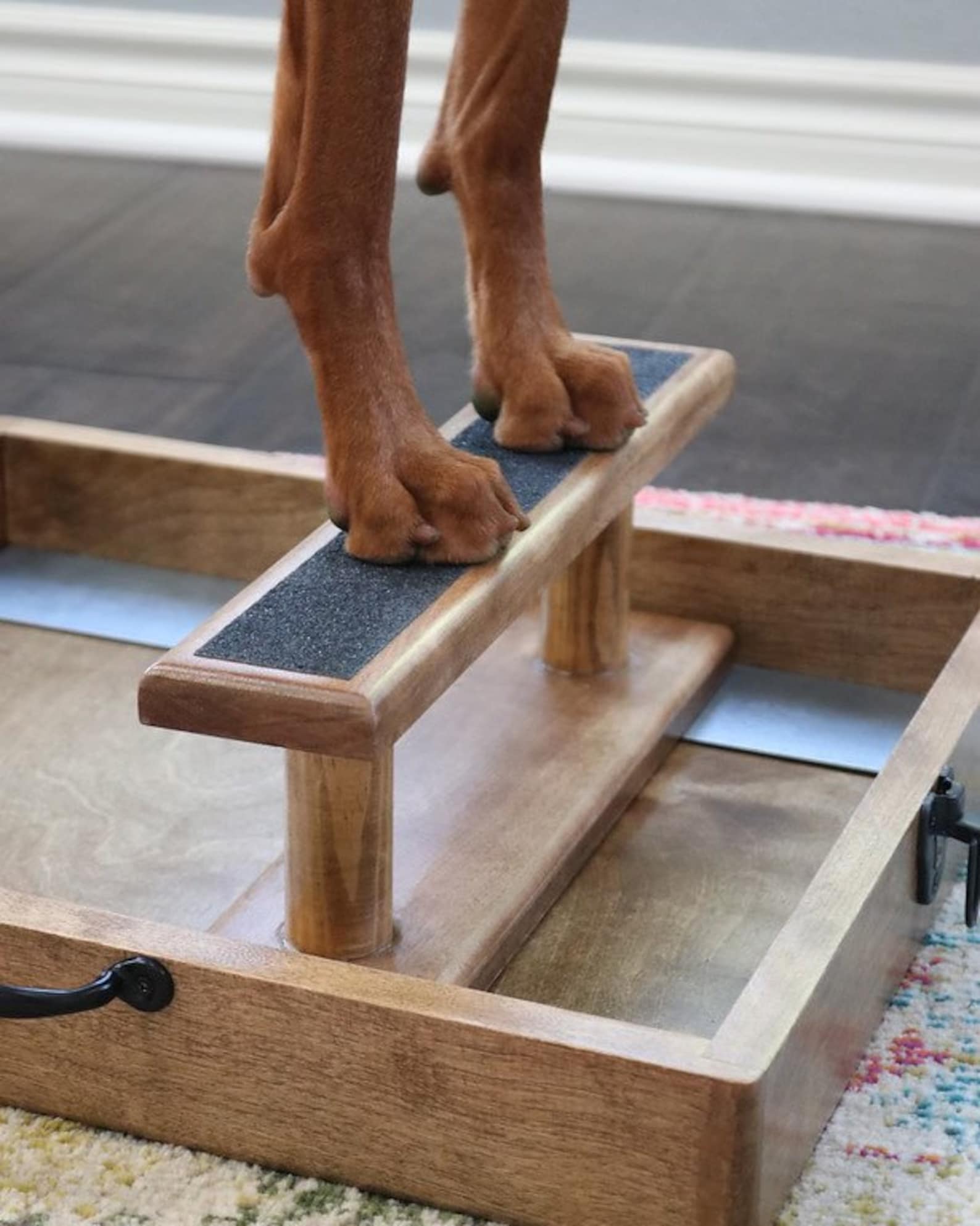 Dog Show Stacker/stacking Case - Etsy