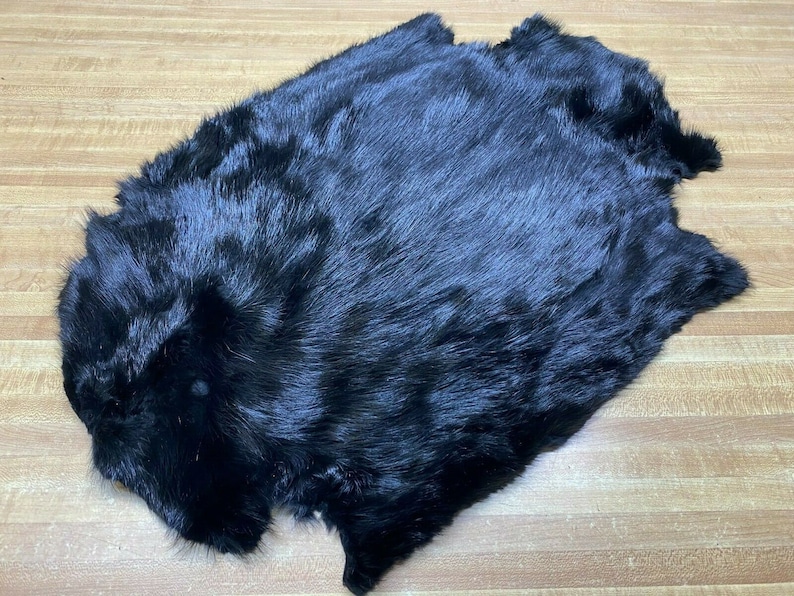 Tanned Beaver Dyed Black Fur Hide - Etsy