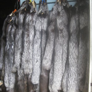 Tanned Silver Fox Hides - Etsy