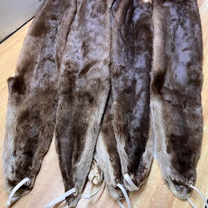 Tanned Otter Hide With Feet - Cased - Etsy