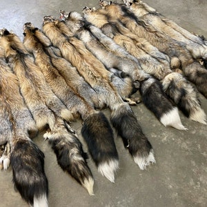Tanned Smoky Fox Hides - Etsy