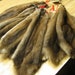 Tanned Muskrat Hides - Etsy