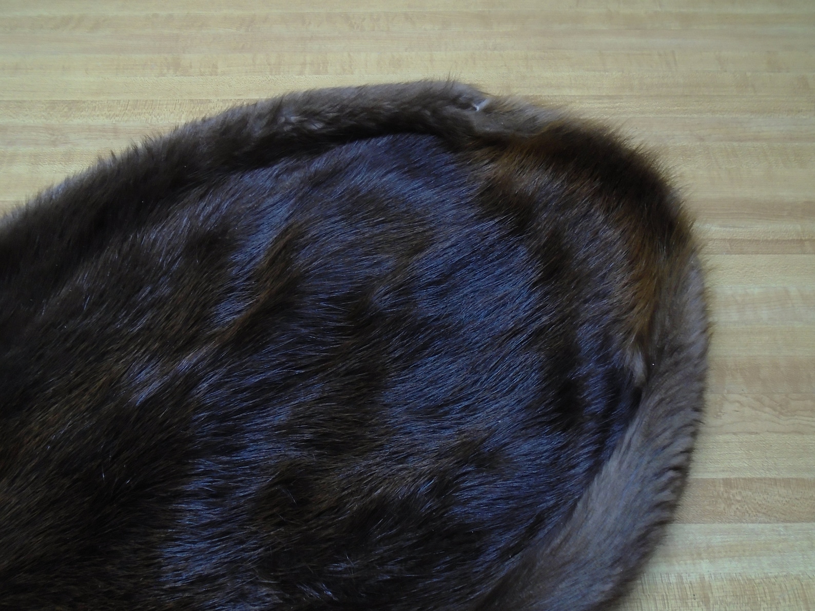 Tanned Beaver canadian Hides - Etsy