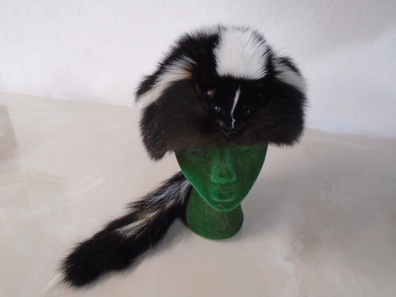 Handmade Skunk Fur Hat With Face Daniel Boone Davy Crockett - Etsy
