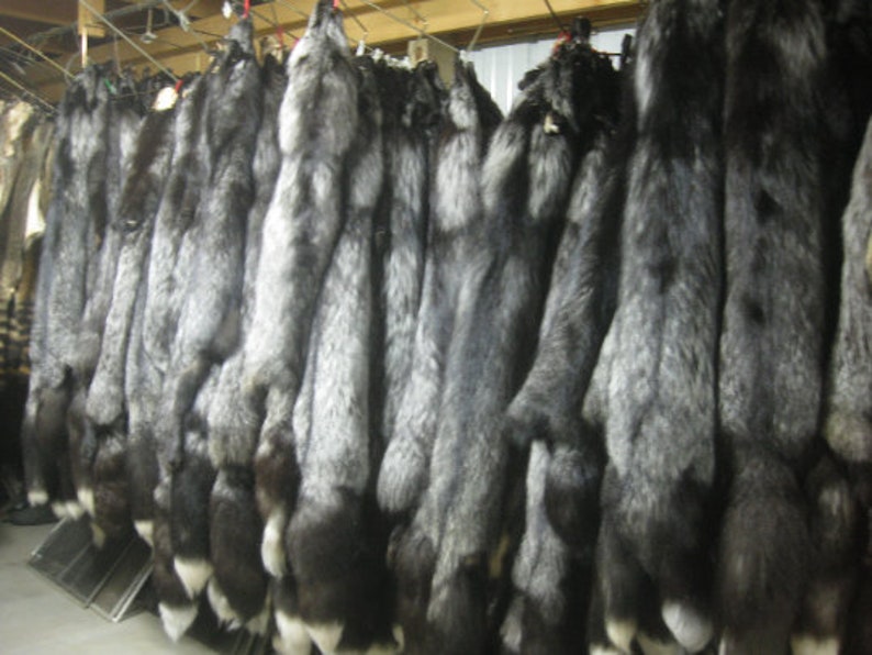 Tanned Silver Fox Hides - Etsy