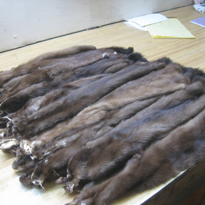 Mink Pelt - Etsy