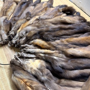 Tanned Sable Hide - Etsy