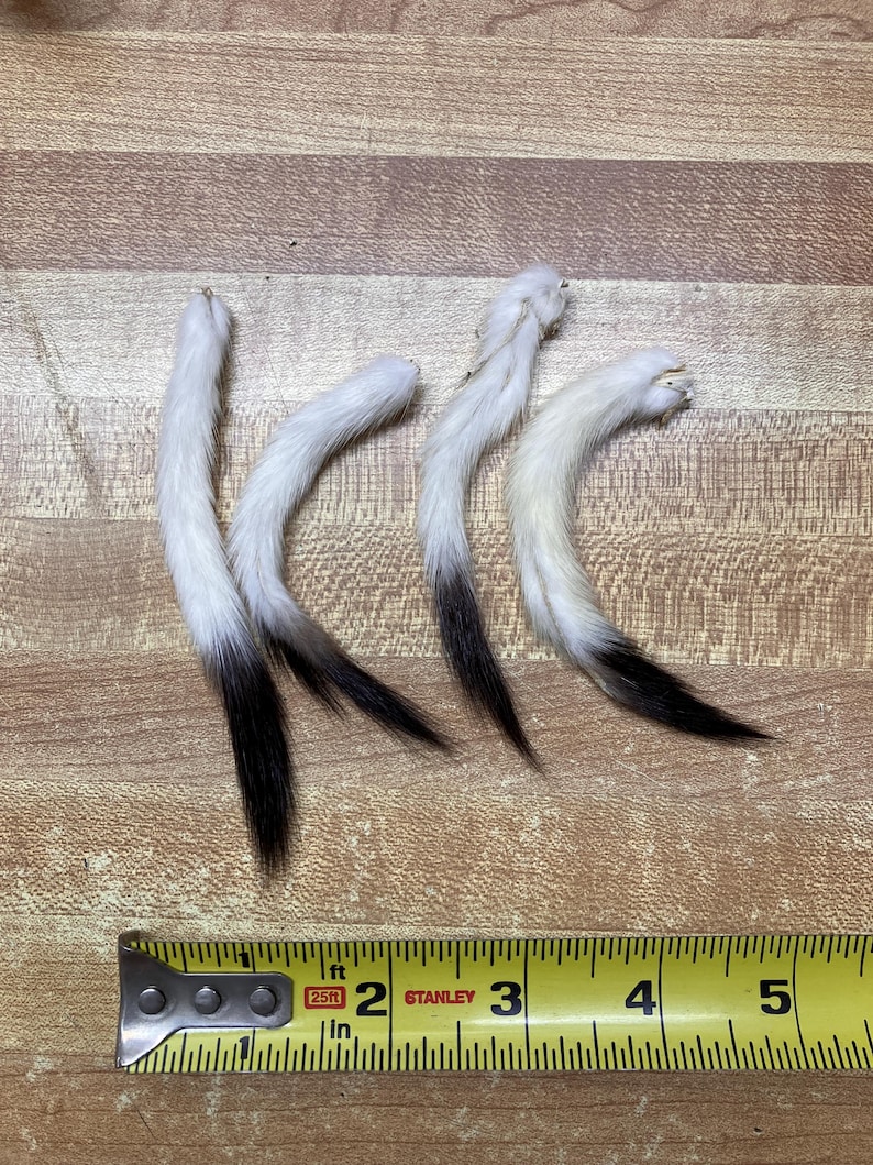 Two Ermine Tails AKA White Weasel Tails - Etsy