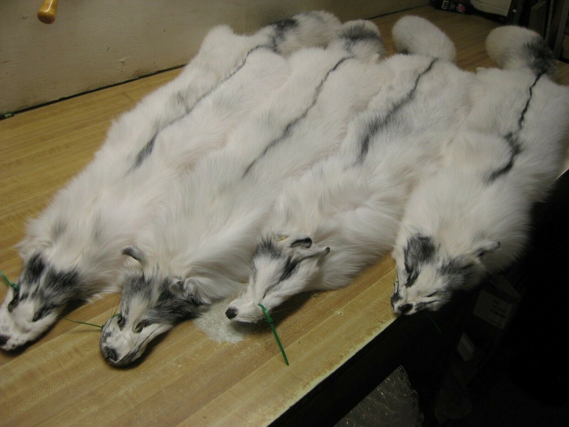 Arctic Marble Fox - Etsy