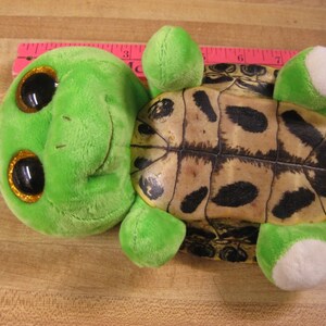 Big Eyed Turtle in Real Turtle Shell - Etsy