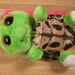 Big Eyed Turtle in Real Turtle Shell - Etsy