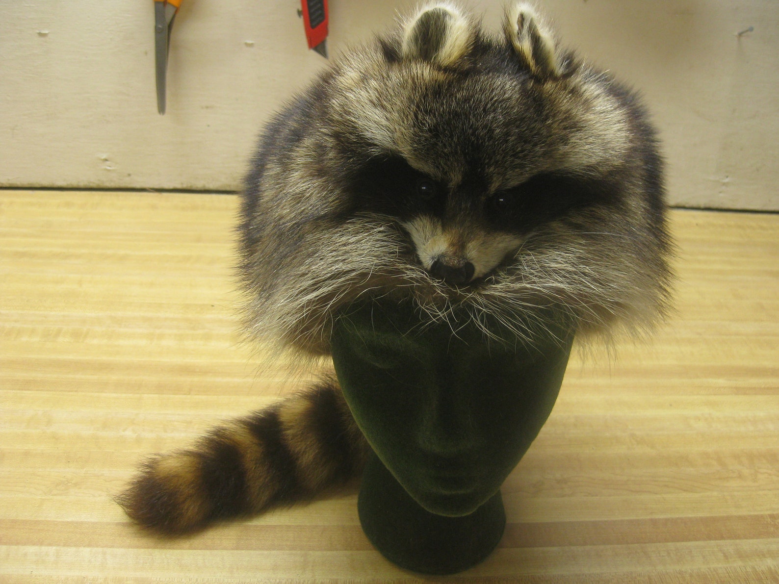 Handmade Raccoon Fur Hat With Face - Etsy