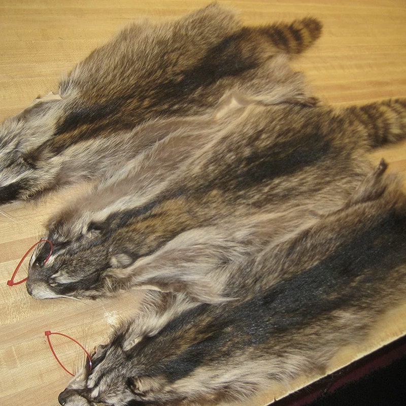 Raccoon Pelts Hat - Etsy