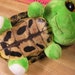 Big Eyed Turtle in Real Turtle Shell - Etsy