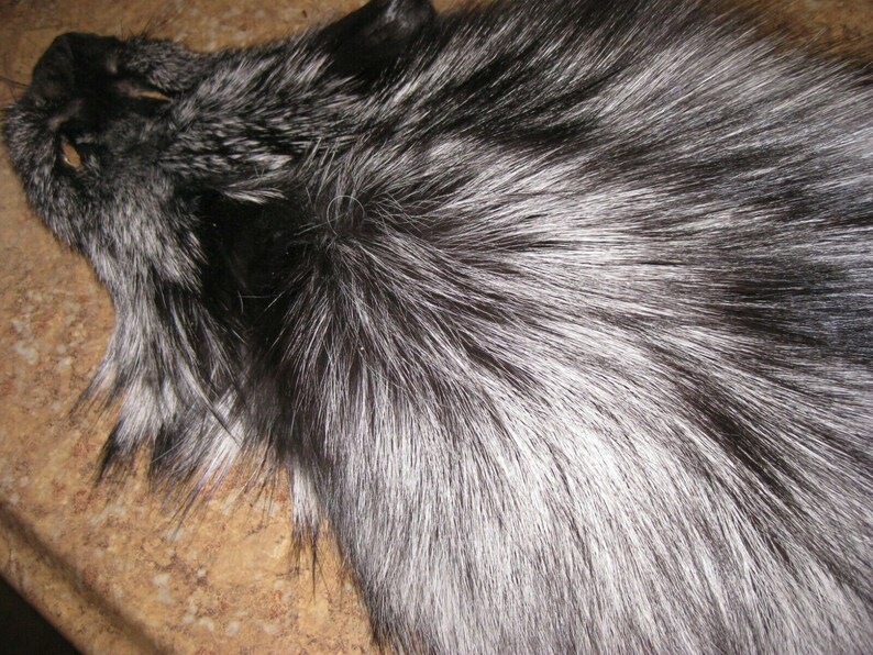 Norwegian Silver Fox - Etsy