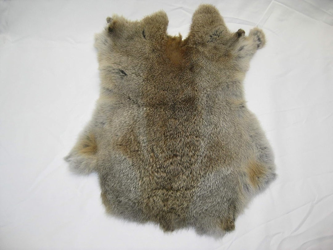 Rabbit Hide Natural Rabbit Pelt - Etsy