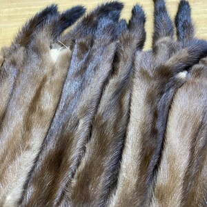 Tanned Ohio Wild Female Mink # 1 Slight Damage - Etsy
