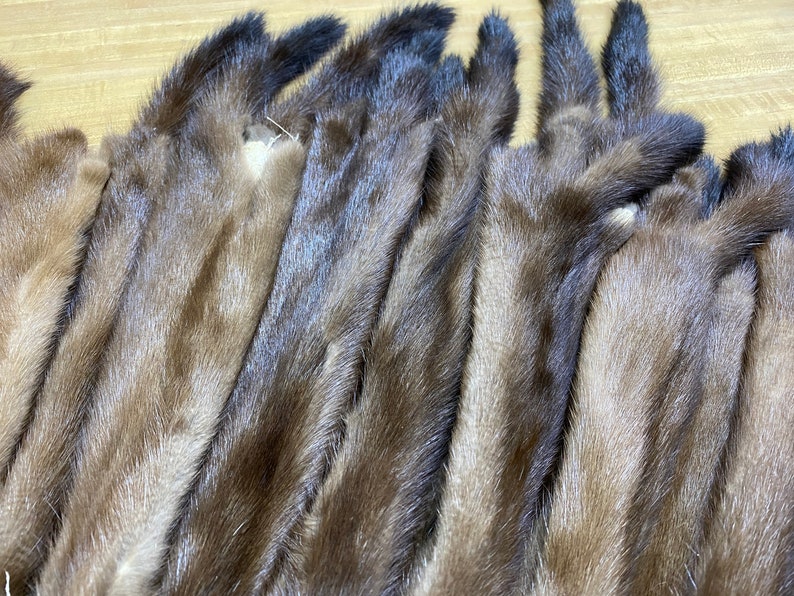 Tanned Ohio Wild Female Mink # 1 Slight Damage - Etsy