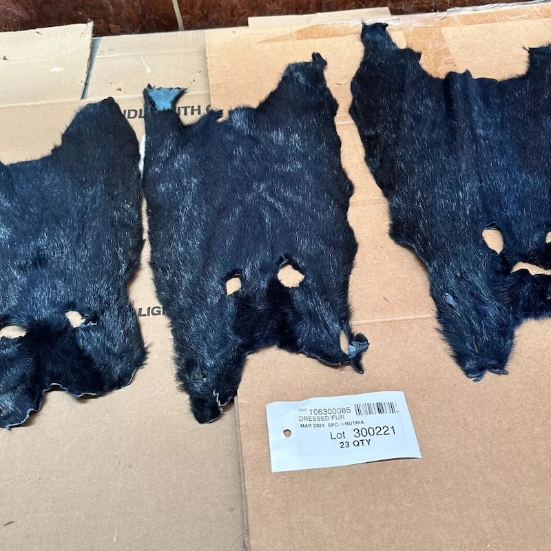 Nutria Fur Hats - Etsy