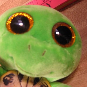 Big Eyed Turtle in Real Turtle Shell - Etsy
