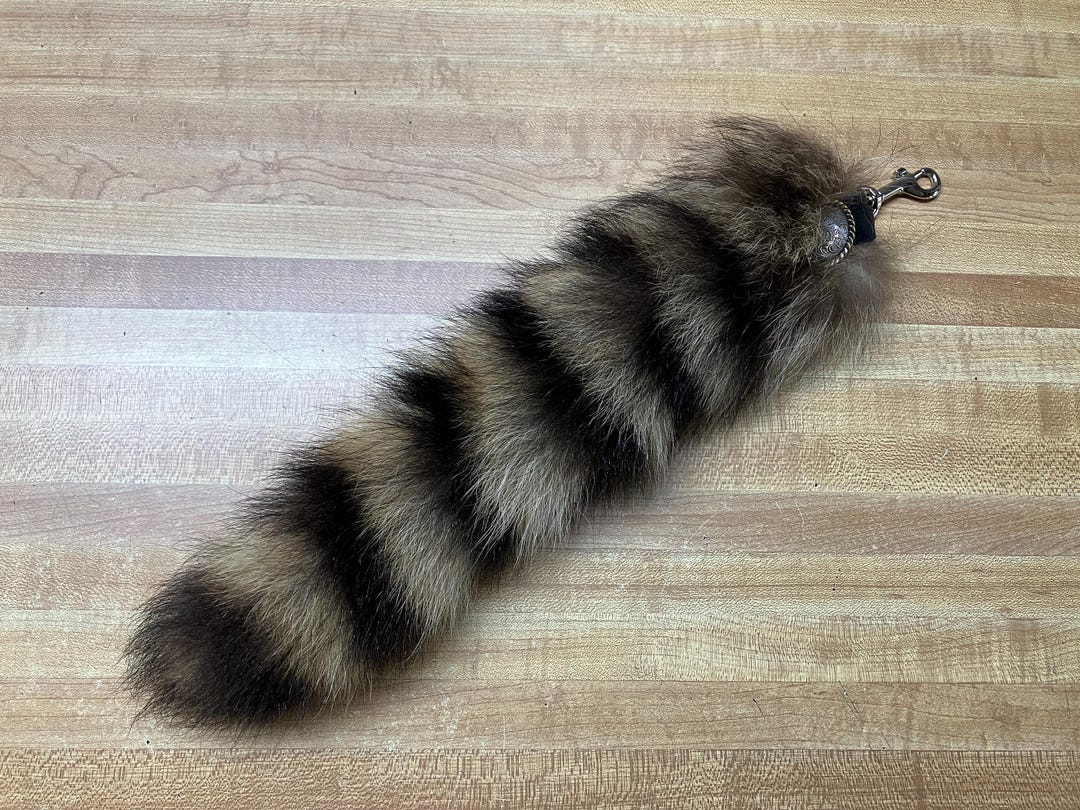 Large Tanned Raccoon Tail Key Chain With Clip - Etsy