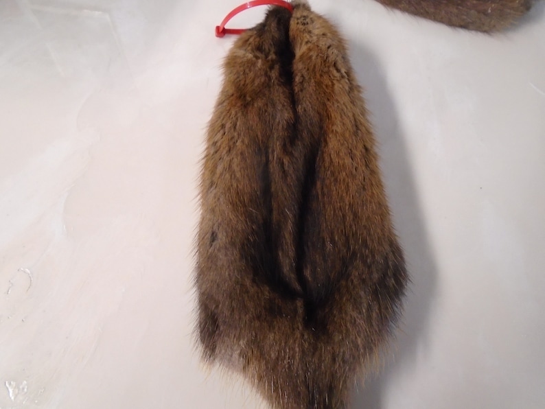 Tanned Muskrat Hides - Etsy
