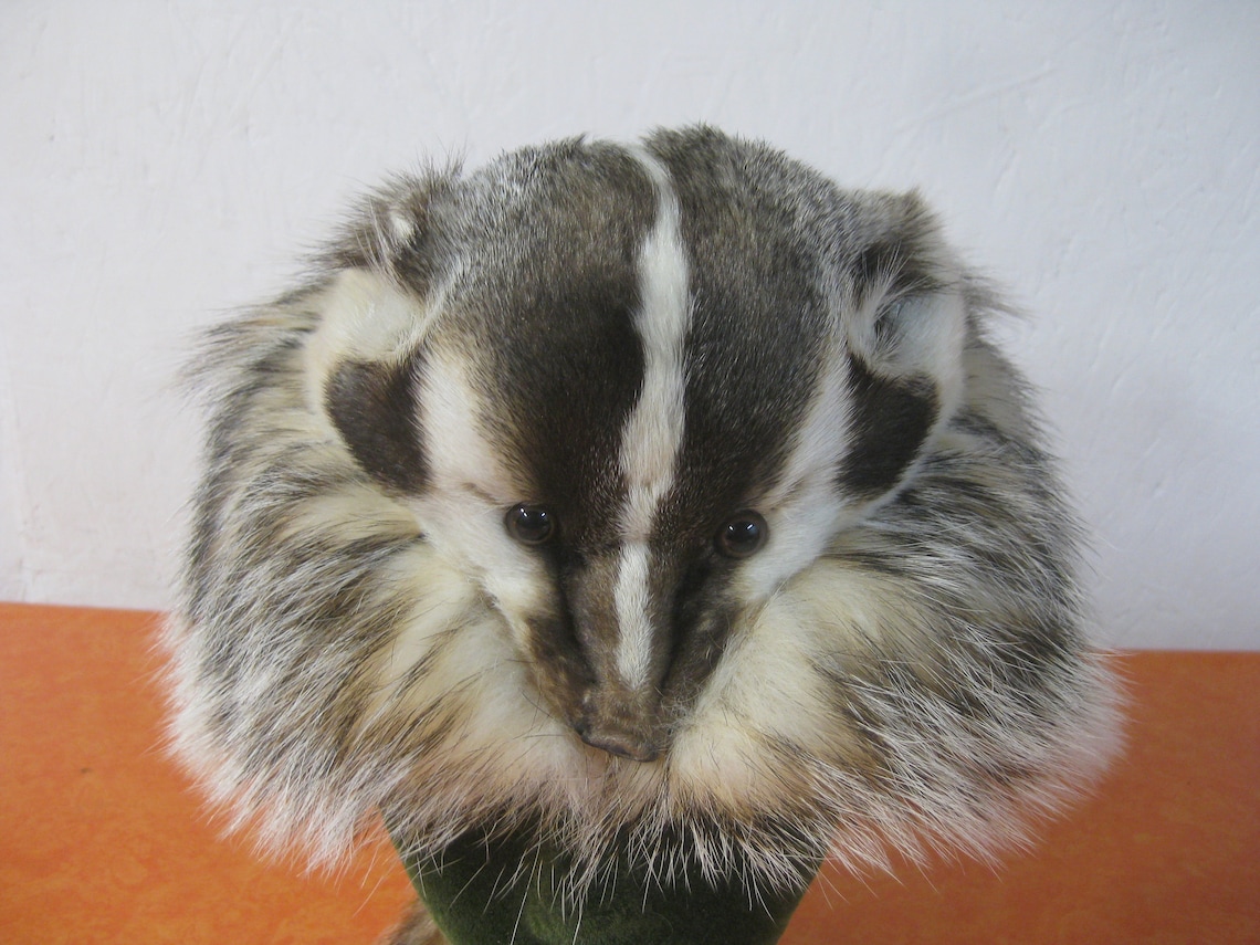 Handmade Tanned Badger Fur Hat - Etsy