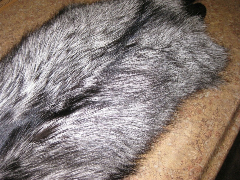 Norwegian Silver Fox - Etsy