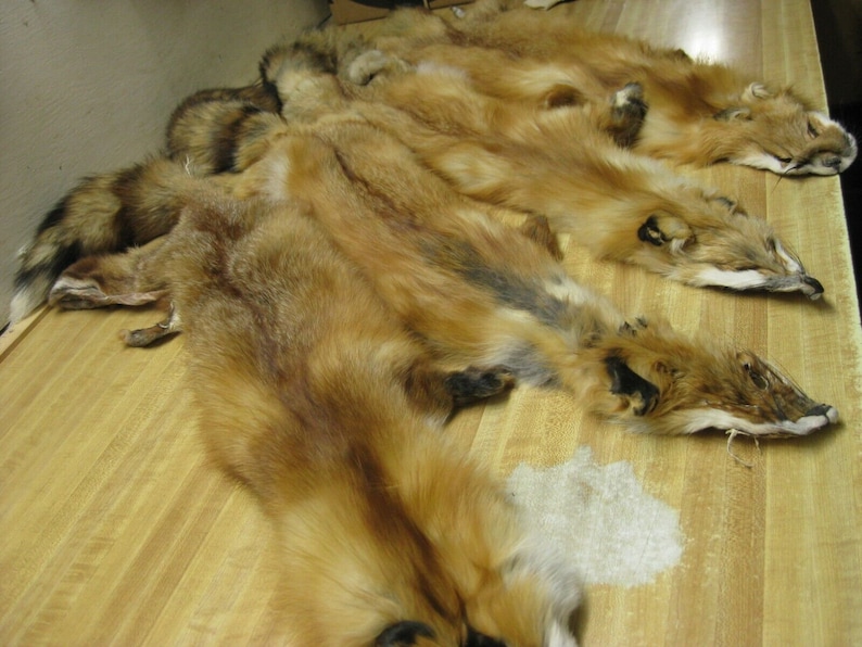 Tanned Red Fox Hides, Pelts - Etsy
