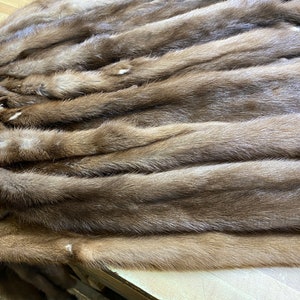 Tanned Ohio Wild Female Mink # 1 Slight Damage - Etsy