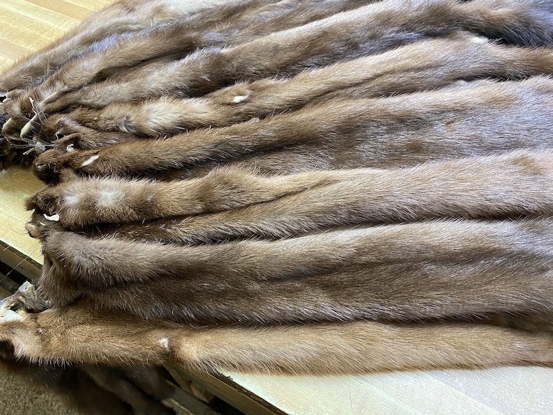 Tanned Ohio Wild Female Mink # 1 Slight Damage - Etsy