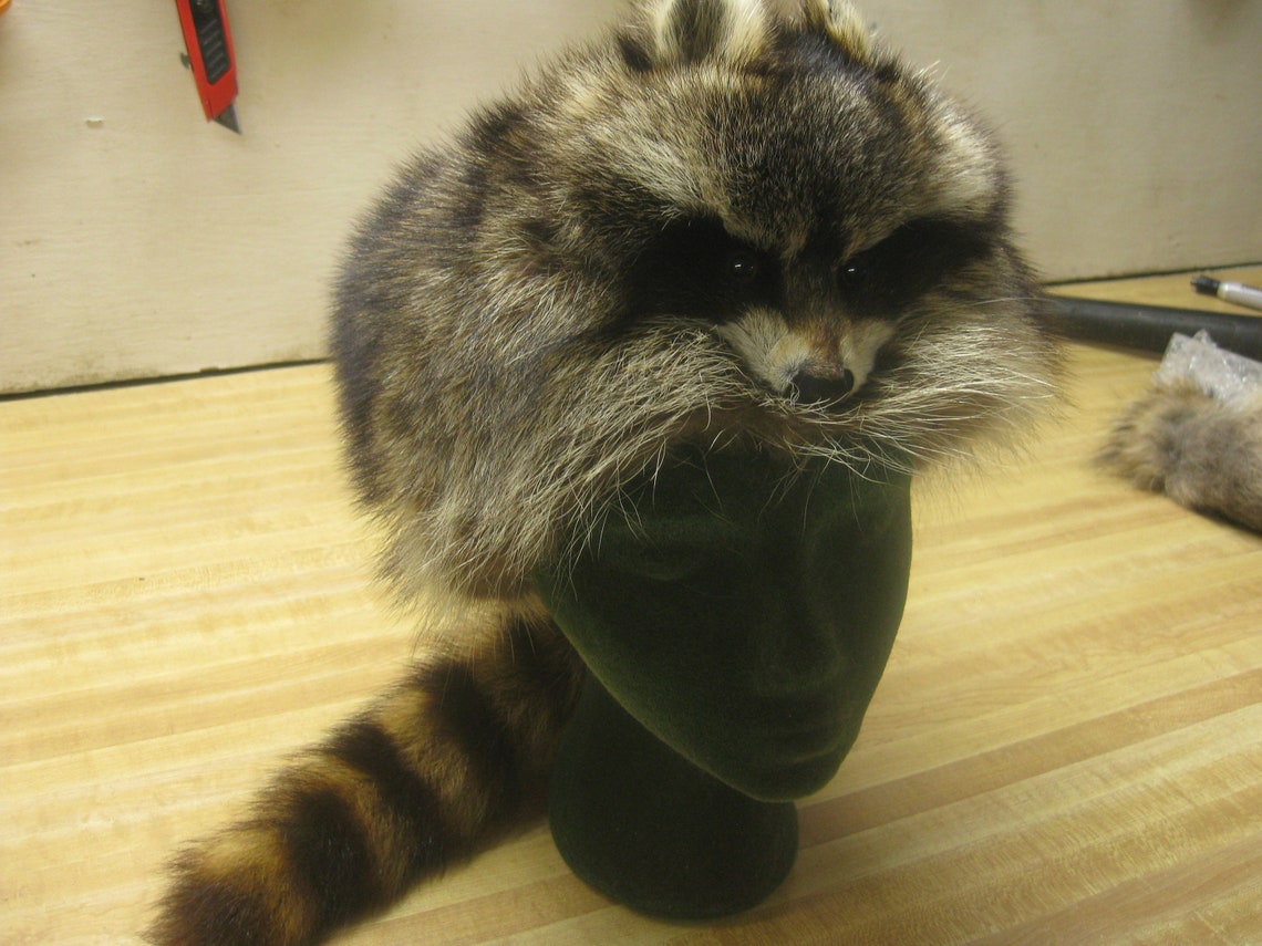 Handmade Raccoon Fur Hat With Face - Etsy