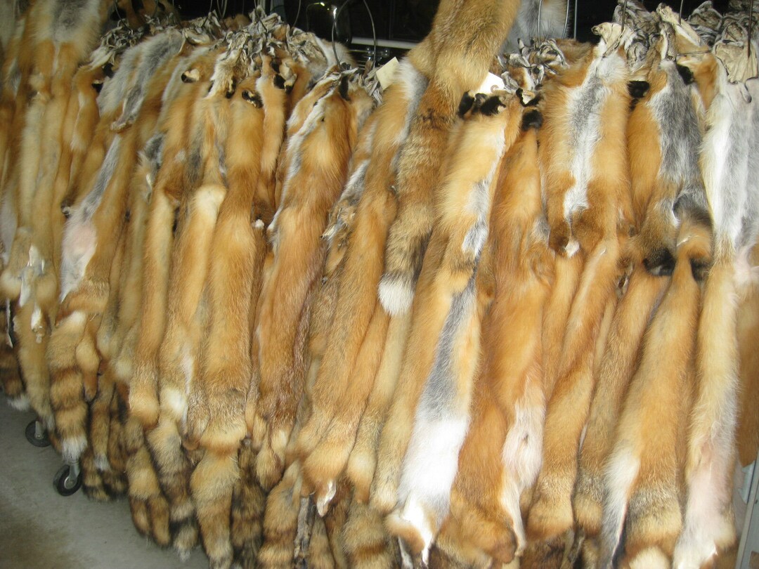Tanned Red Fox Hides, Pelts - Etsy