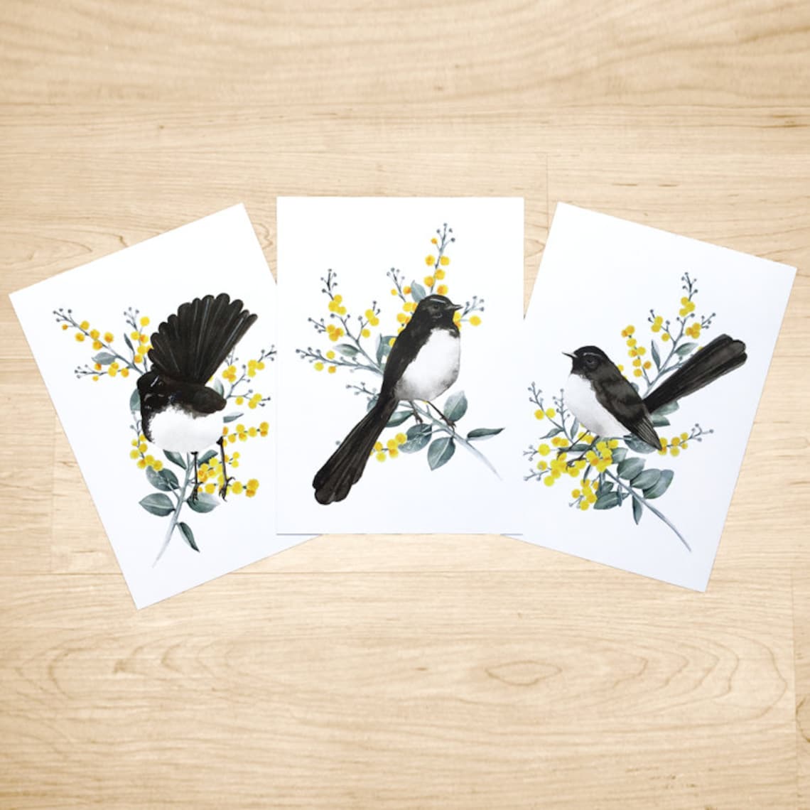 Australian Willie Wagtail Bird Art Set of 3, Wall and Home Decor A5 ...
