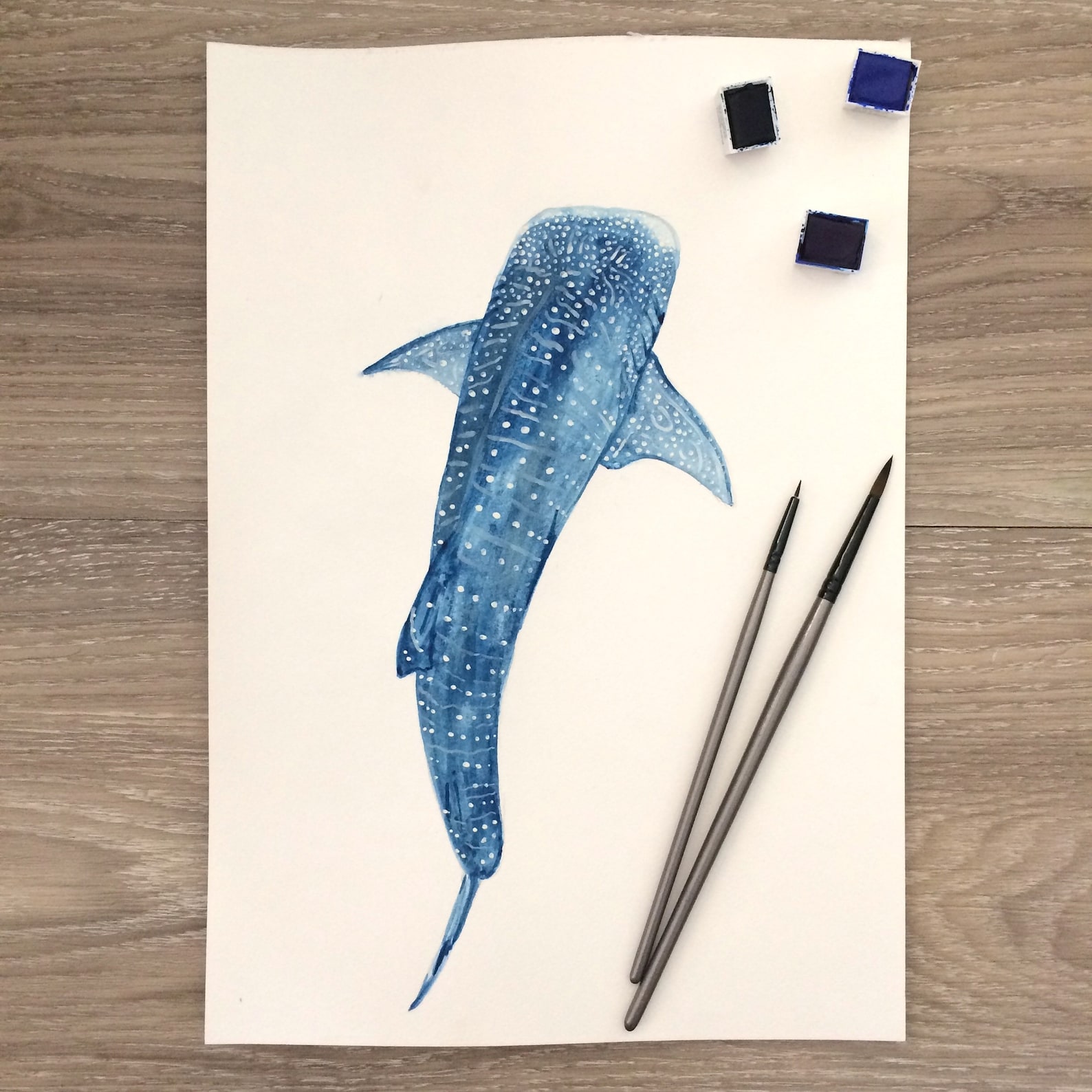 Whale Shark Scarf, Western Australian Whale Shark, Exmouth, Ningaloo ...
