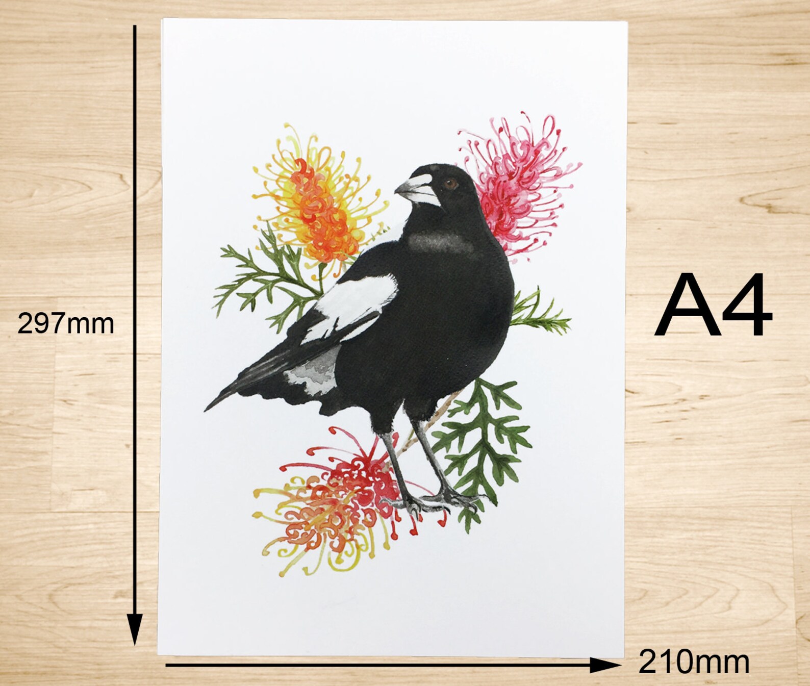 Australian Magpie Bird Art, Set of 3, Wall and Home Decor A5 or A4 ...
