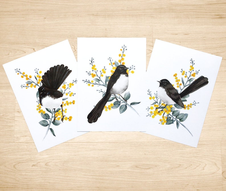 Australian Willie Wagtail Bird art set of 3 wall and home | Etsy