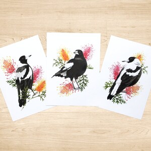 Australian Magpie Bird Art, Set of 3, Wall and Home Decor A5 or A4 ...
